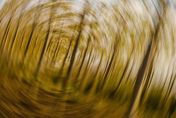 40 Beautiful Examples of Abstract Photography - The Photo Argus