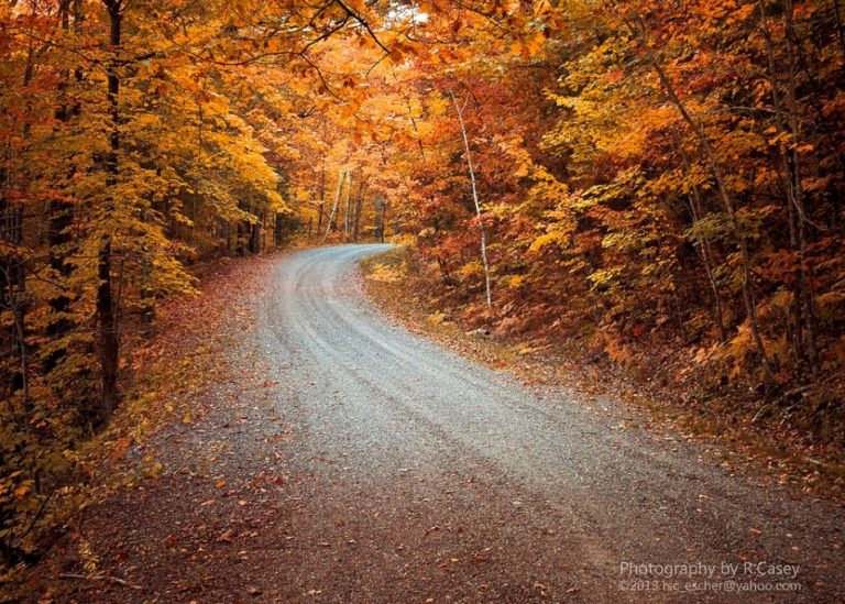 60 Breathtaking Fall Pictures - The Photo Argus
