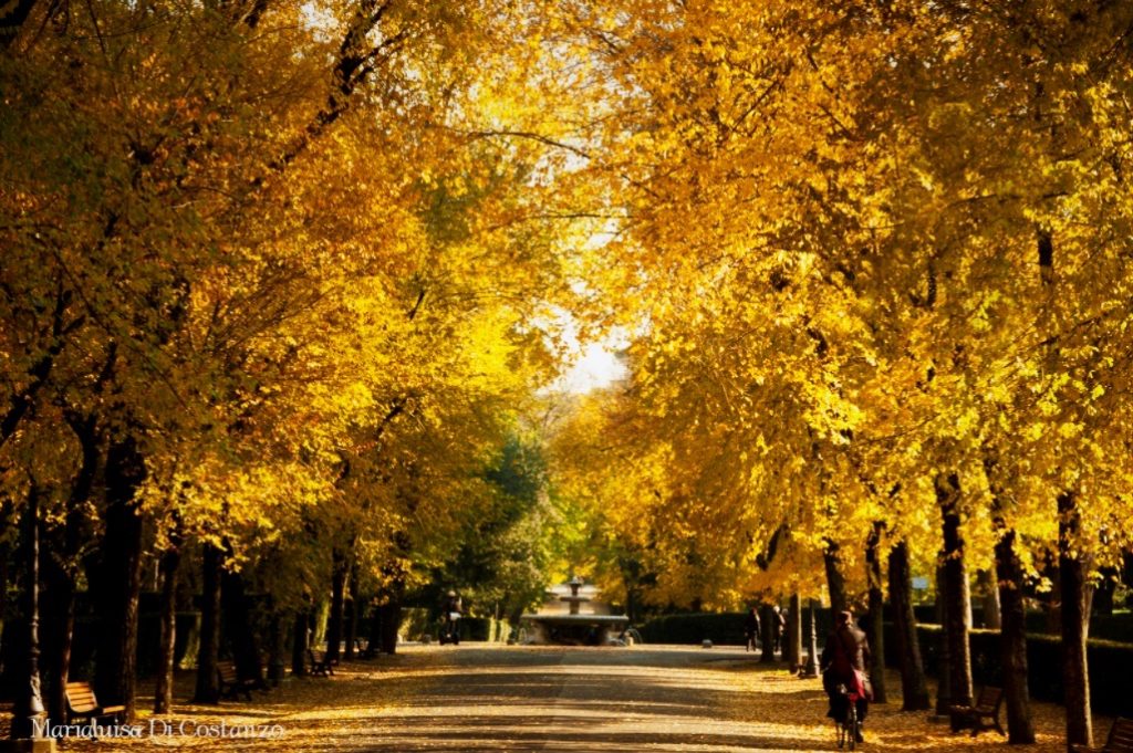 60 Breathtaking Fall Pictures - The Photo Argus