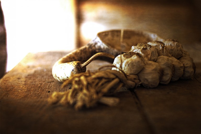 35 Superb Examples of Still Life Photography