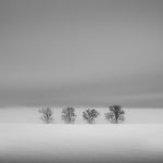 20 Wonderful Examples of Winter Photography - The Photo Argus