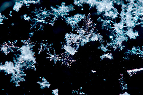 20 Majestic Close Up Pictures of Snowflakes