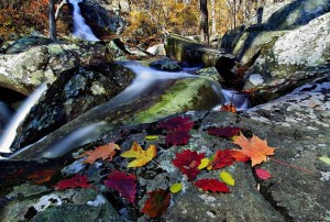 25 Beautiful Autumn Waterfall Pictures - The Photo Argus