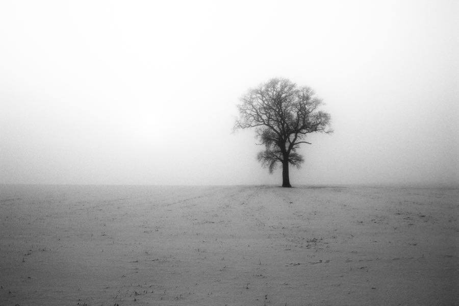 40 Minimal Photos for Your Inspiration