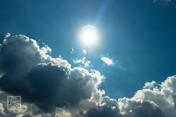 Understanding Light and Using It to Your Advantage - The Photo Argus