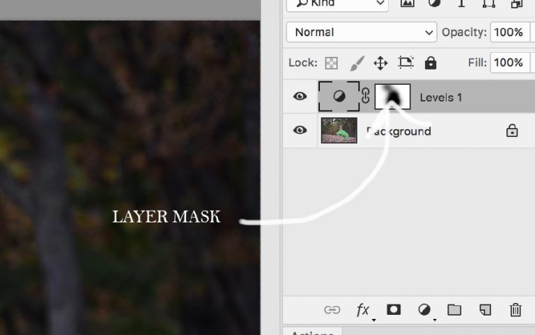 Creating a Sparkling Fairy Dust Scene in Photoshop - The Photo Argus