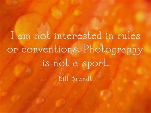 99 Inspirational Quotes About Photography - The Photo Argus
