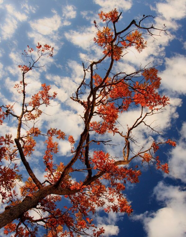 30 Fantastic Examples of Fine Art Photography - The Photo Argus