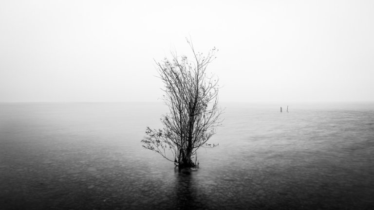 30 Fantastic Examples of Fine Art Photography - The Photo Argus