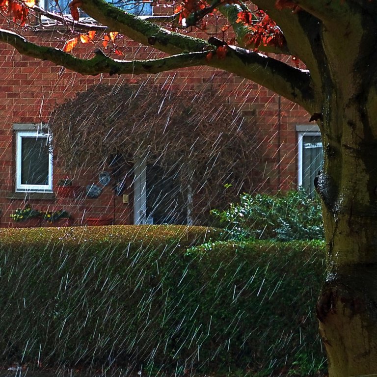 50 Wonderful Photographs of Rain - The Photo Argus