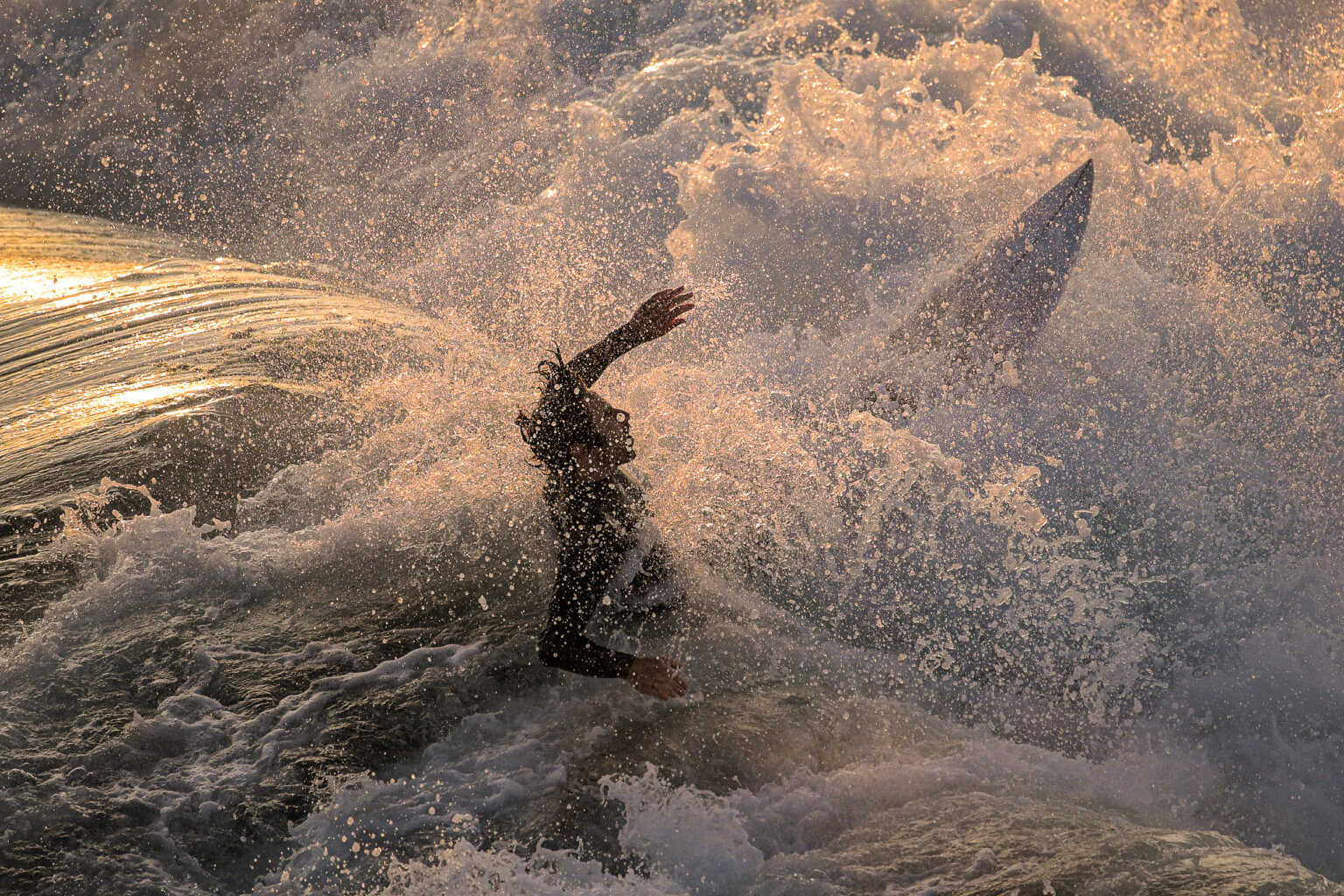 Nikon Z9 Review | Superior Flagship Action Sports & Wildlife Performance