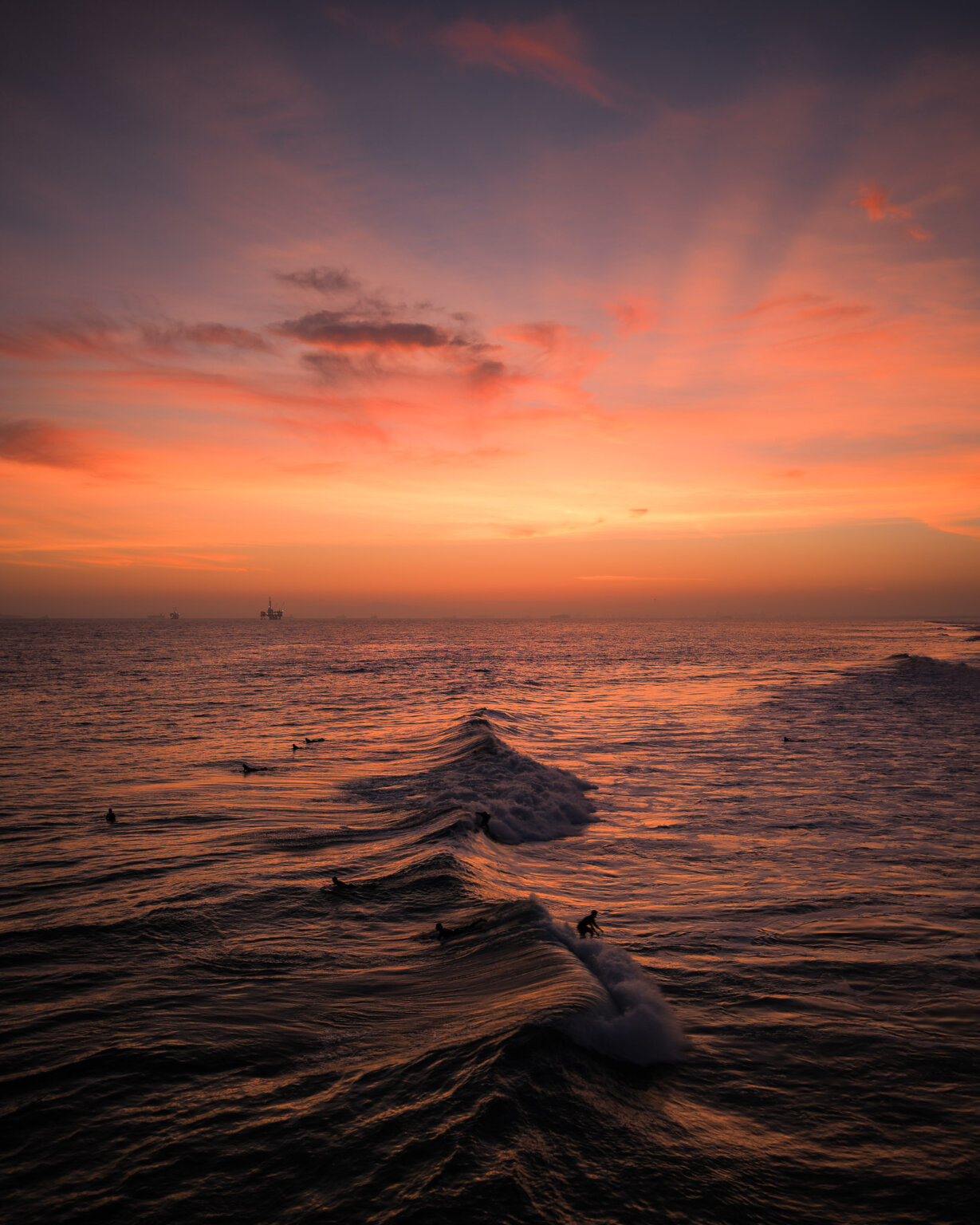 Nikon Z9 Review | Superior Flagship Action Sports & Wildlife Performance