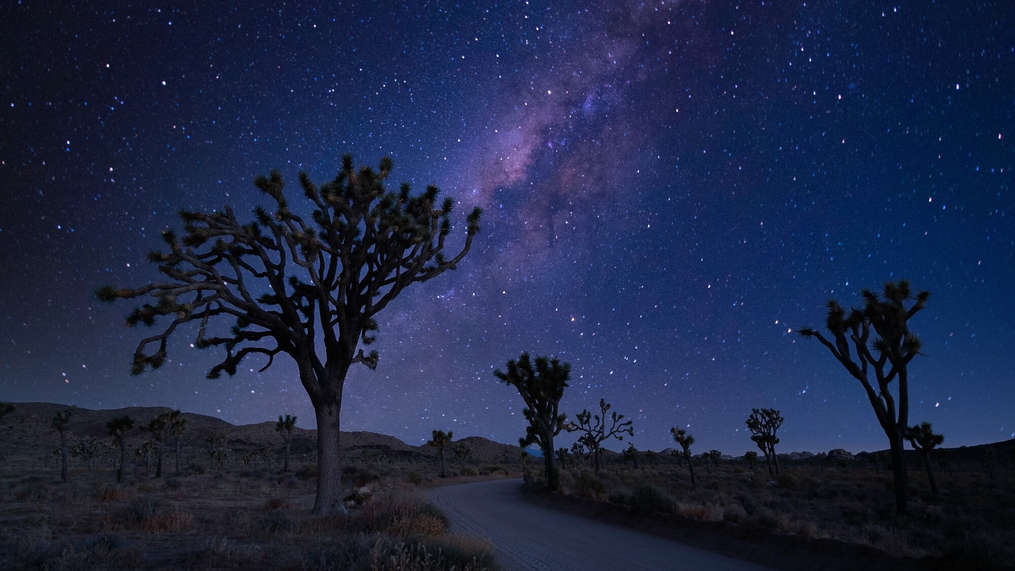 Skylum imgmi Review | AI Powered Photo Editing On Your Mobile Device ...