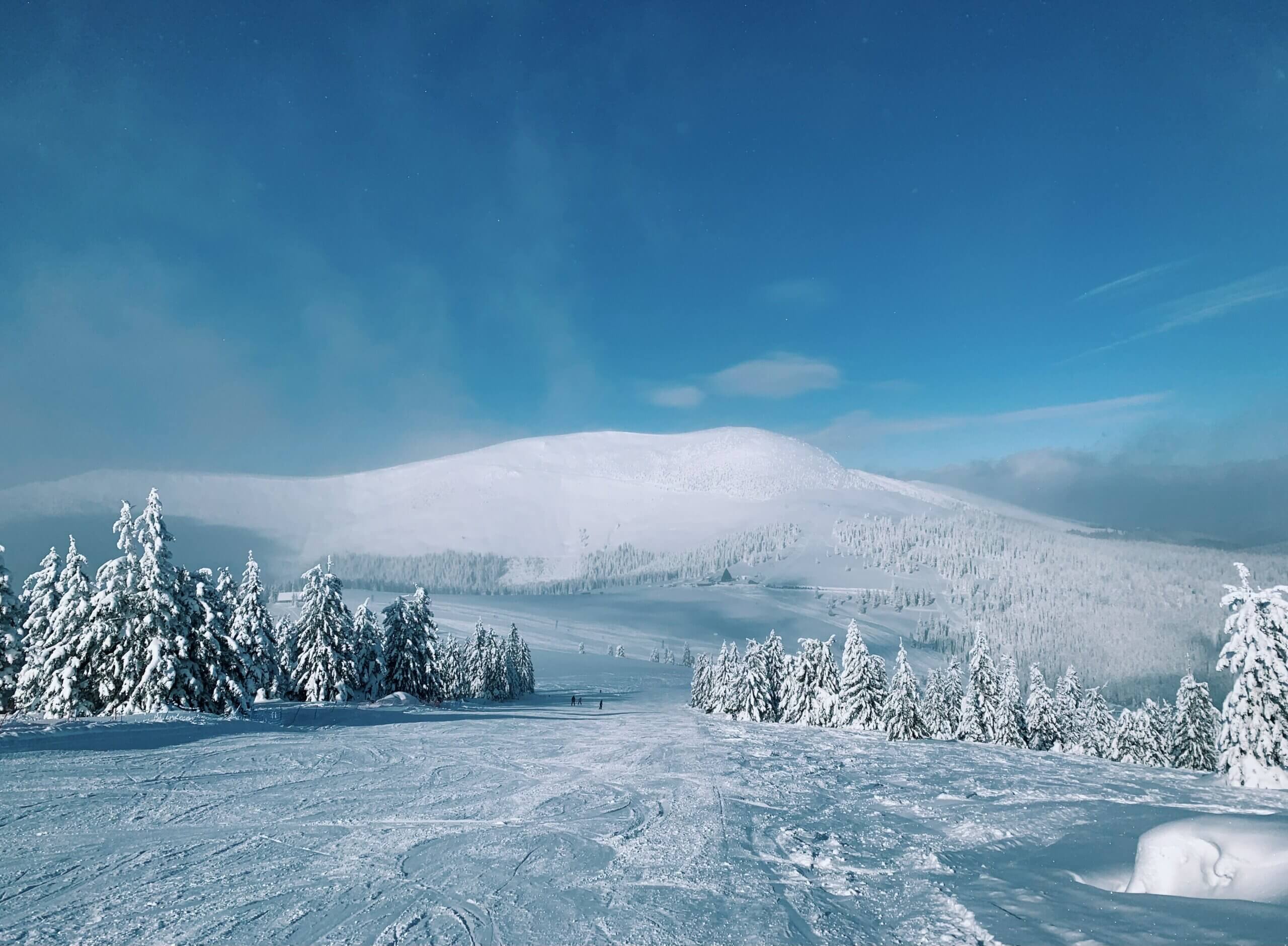 Exploring the Seasons Through Photography: Tips to Capture and Embrace ...