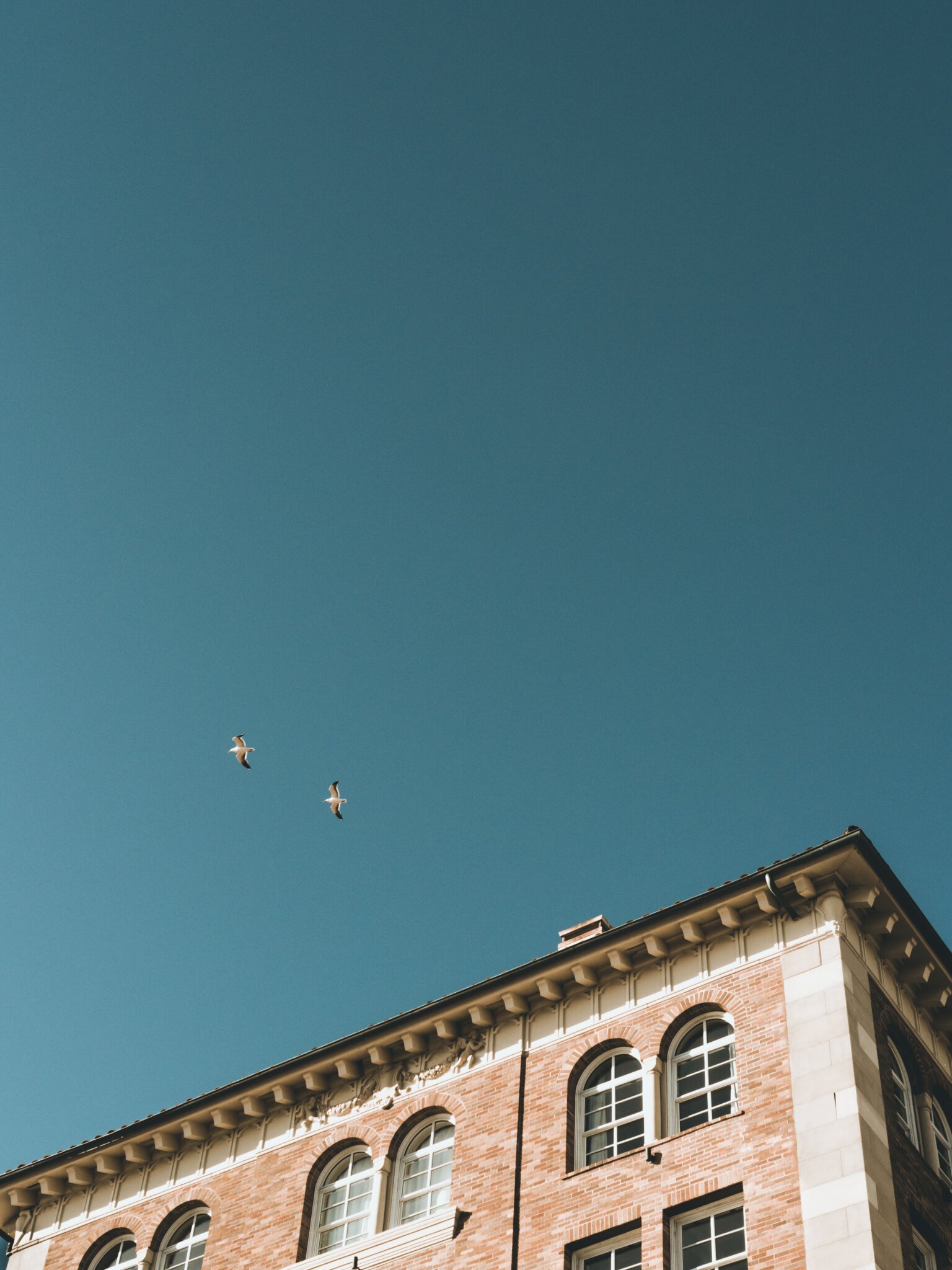 The Photo Argus - Fresh photography ideas, useful tips and creative ...