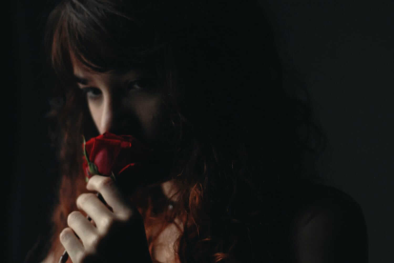 Shooting in the Shadows: 4 Free Guides on Low Light Photography - The ...